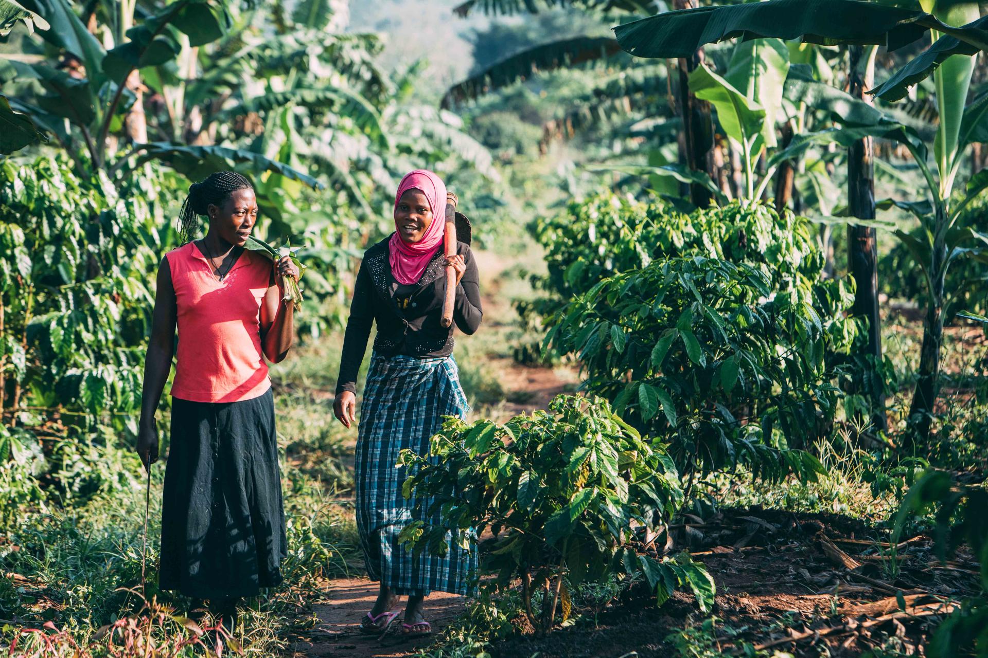 Climate Change and Women: Disproportionate Impact and Solutions ...