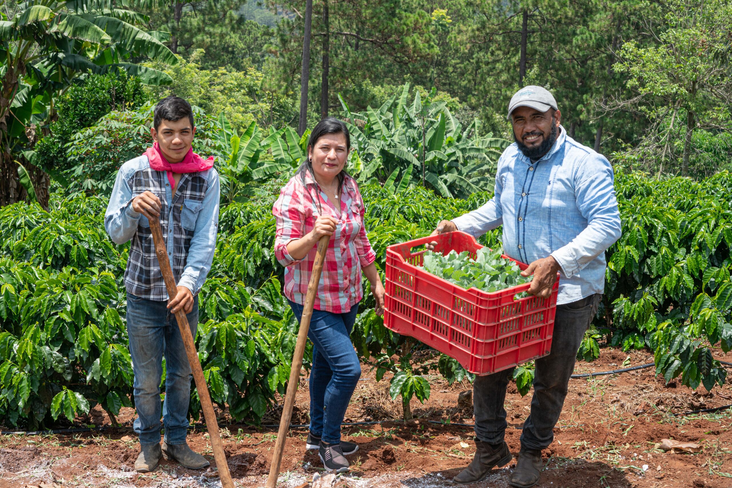 Behind c&c - initiative for coffee&climate